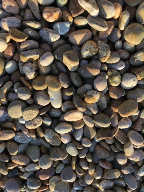 Beach Pebbles - Cobra Stone INC.