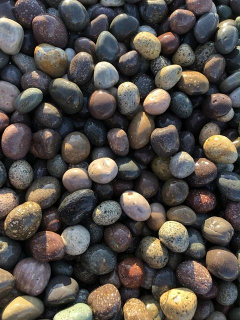 Beach Pebbles - Cobra Stone INC.