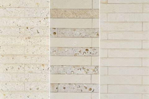 Shell and Cordova Stone - Cobra Stone INC.